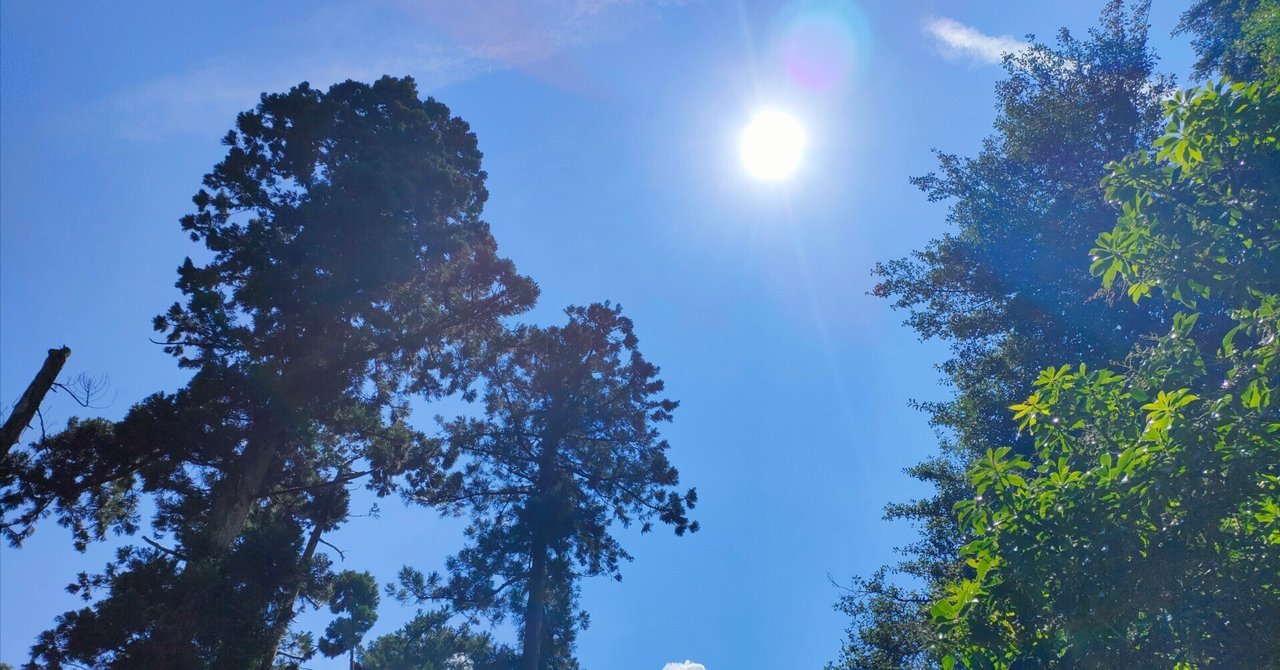 自分を信用できないから人も信用できない｜Manami Taniguchi