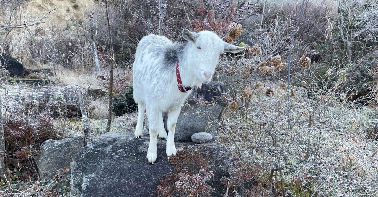 全力地方移住in飯舘村｜Osada Takuya
