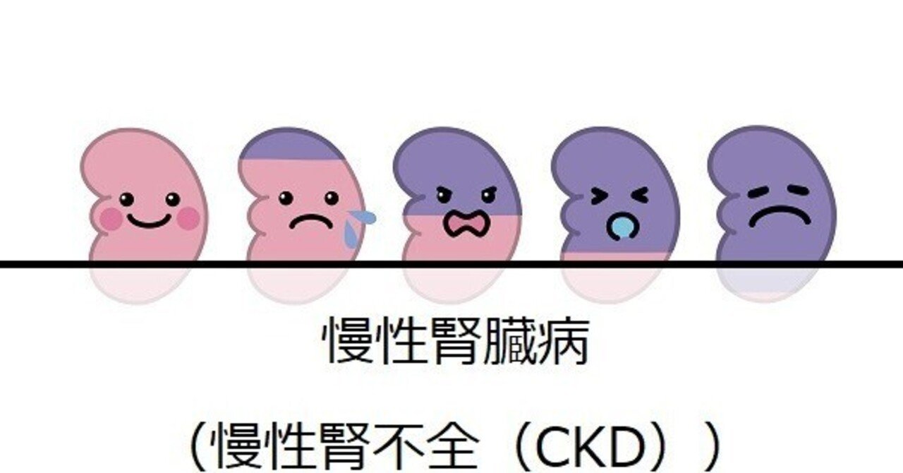【完全公開はnoteだけ】サクッとまるわかり!慢性腎臓病(慢性腎不全(ckd))の看護診断|なんでなんだナーシング30 ~看護師・看護