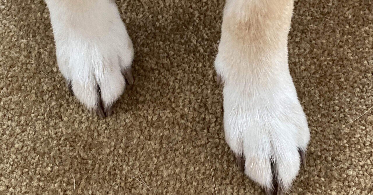 心の中の中の中のはなし。｜723nk