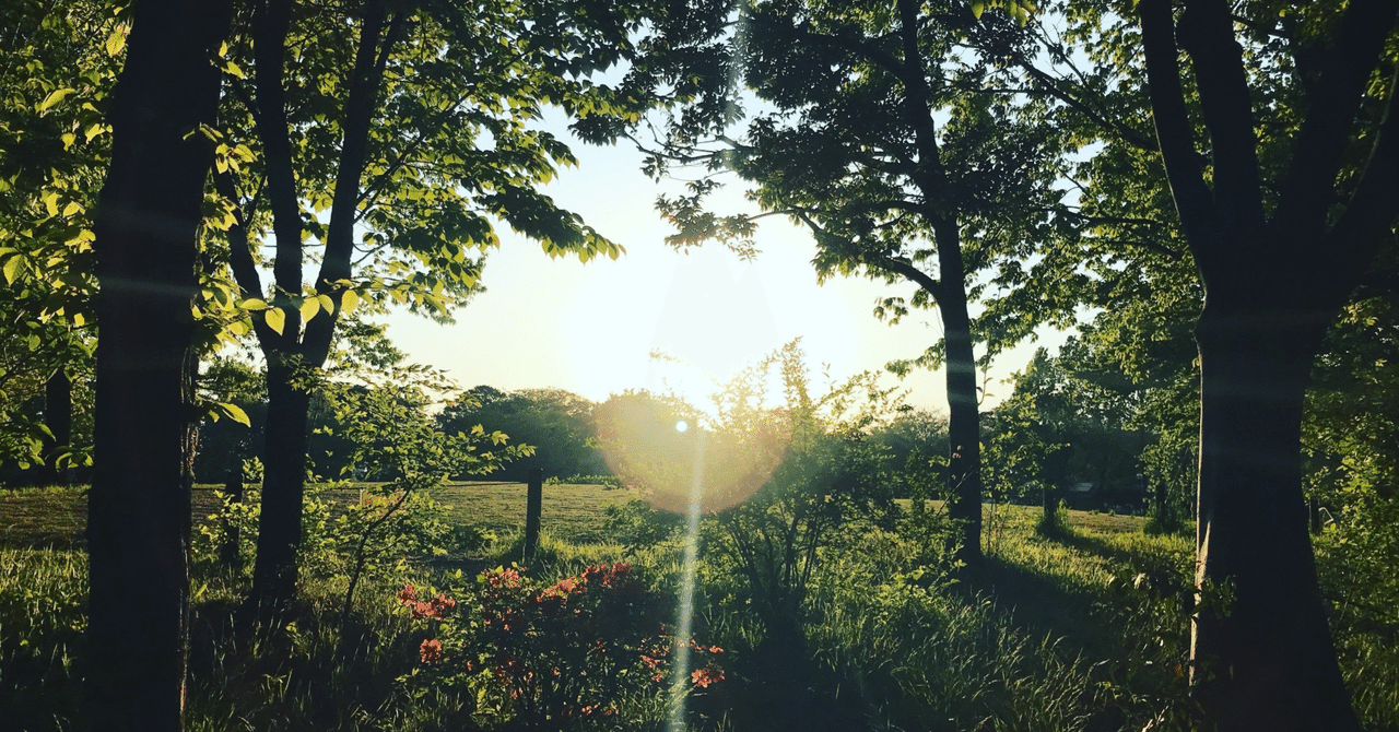 夢を語る力は、生きる力。｜Reiko Hara/アロマ音叉®️セラピスト