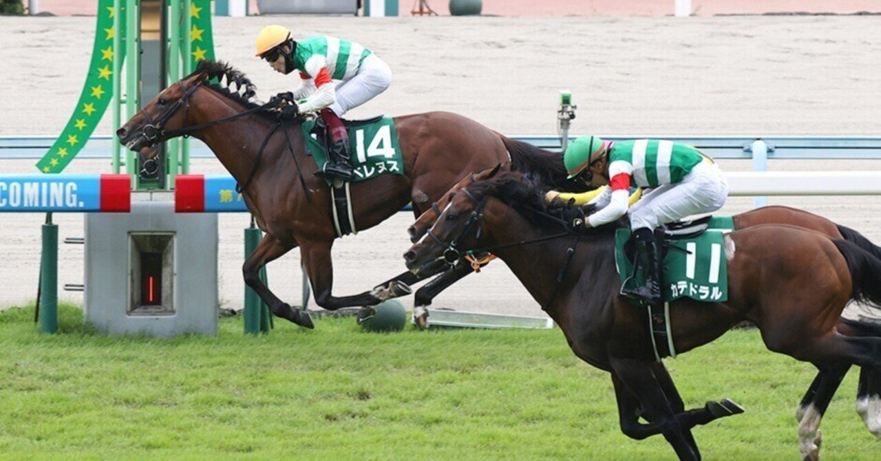 【2023 中京記念（G3）】徹底的に攻略データ篇｜Haya