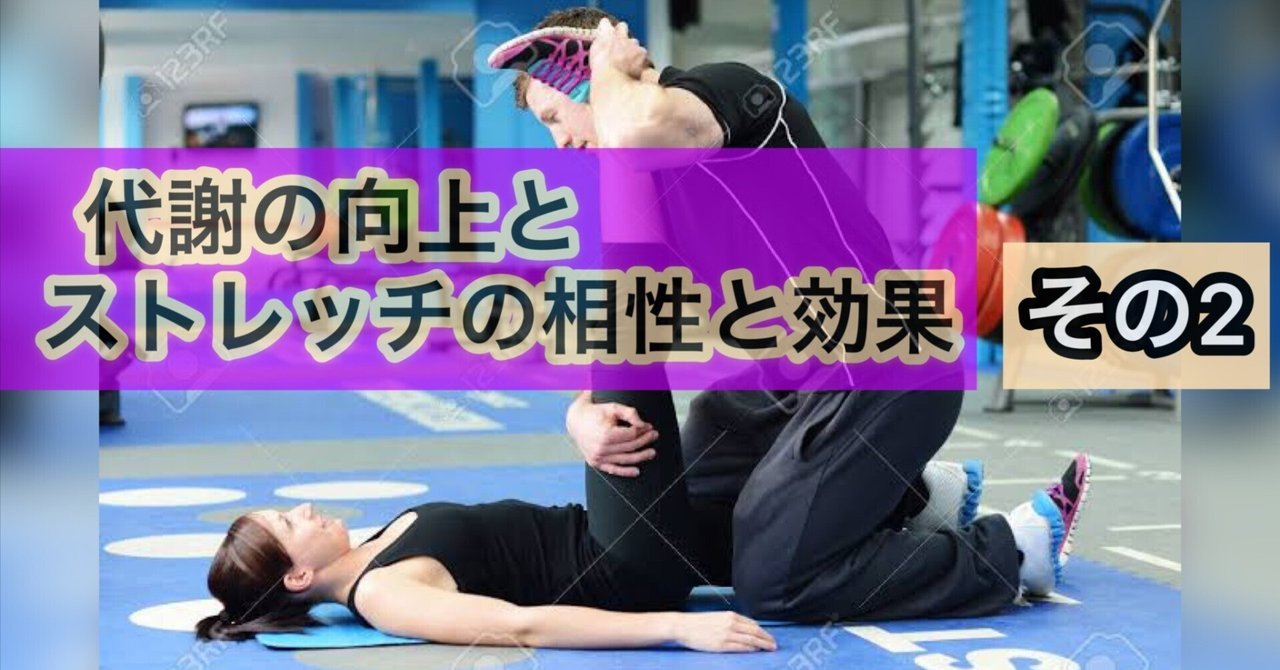 パーソナルストレッチと体内代謝の向上：相性と効果：その2｜人生を楽しむ身体作り応援隊【ユーフォリア】