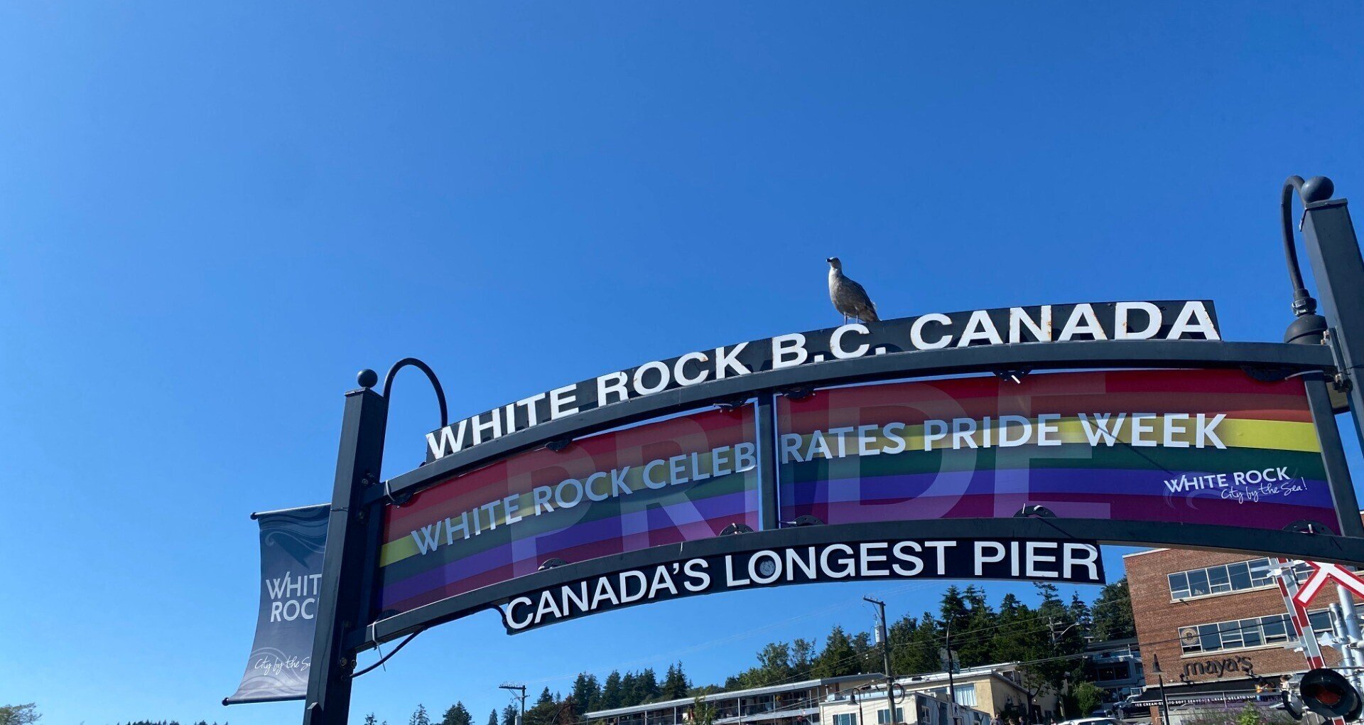 Ayumi in Canada🇨🇦｜note