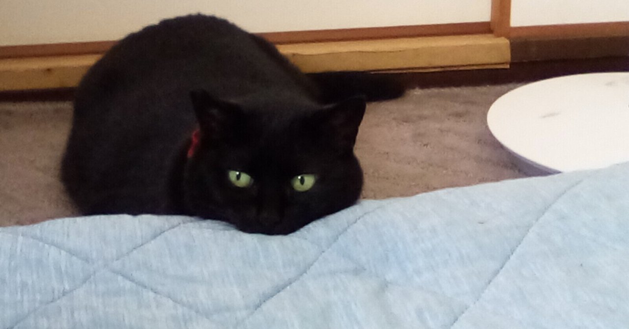 罪悪感と裁く心の赦し｜(Linp&Ruru)本当の自分を知り、本当の自分として生きる