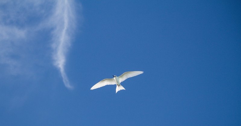 師の愛を想う｜Keiko Usami