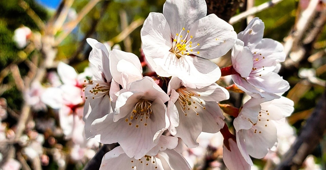 繰り返す季節の中で|小林健夫