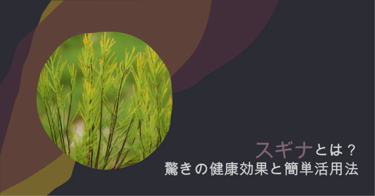 スギナとは？驚きの健康効果と簡単活用法｜herbjoint