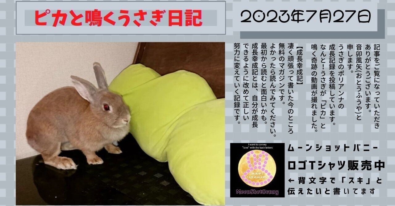 マシュマロみたいな赤色矮星を発見されアレに期待を寄せる夜だったような日|背文字で「スキ」と伝えたいウサギのポリアンナ🐰and音卯風矢 フォロバ100