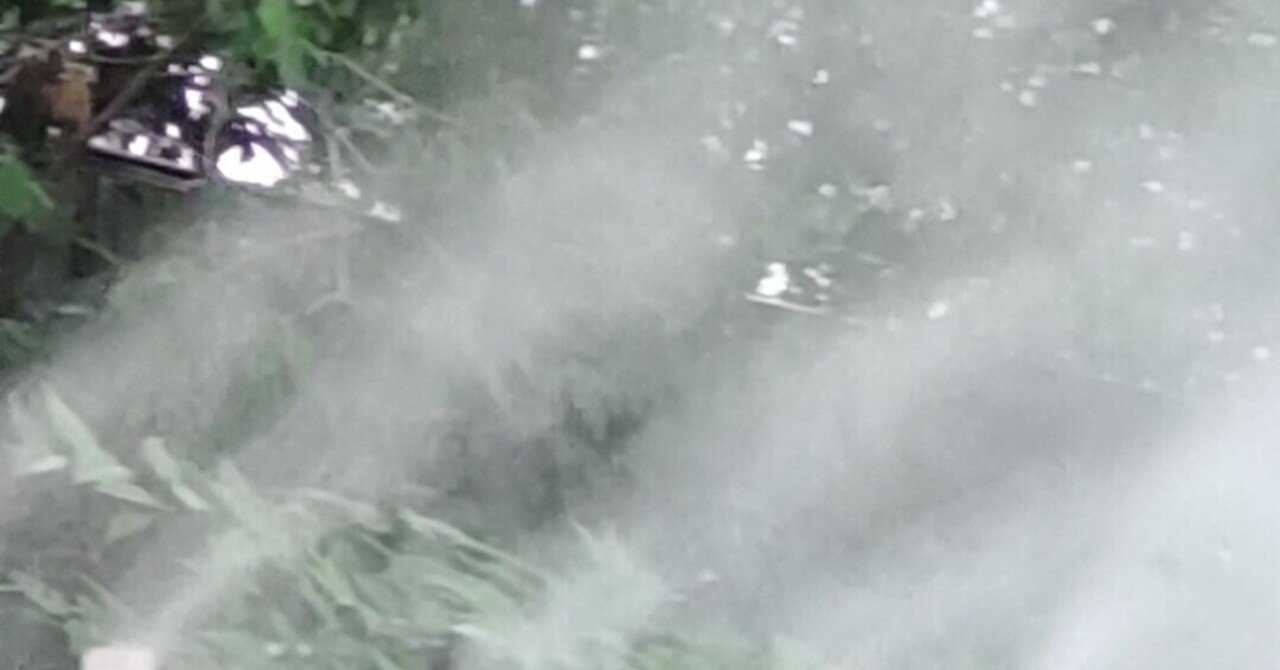 なつの栞⑬（ドライミストに魅せられて）｜UNWIND&KOMOREBI