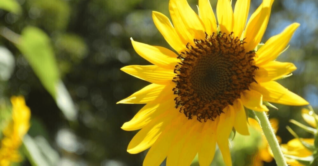 休眠顧客や休眠リードを掘り起こす4つの方法｜株式会社ALUHA｜BtoBマーケティング・営業戦略