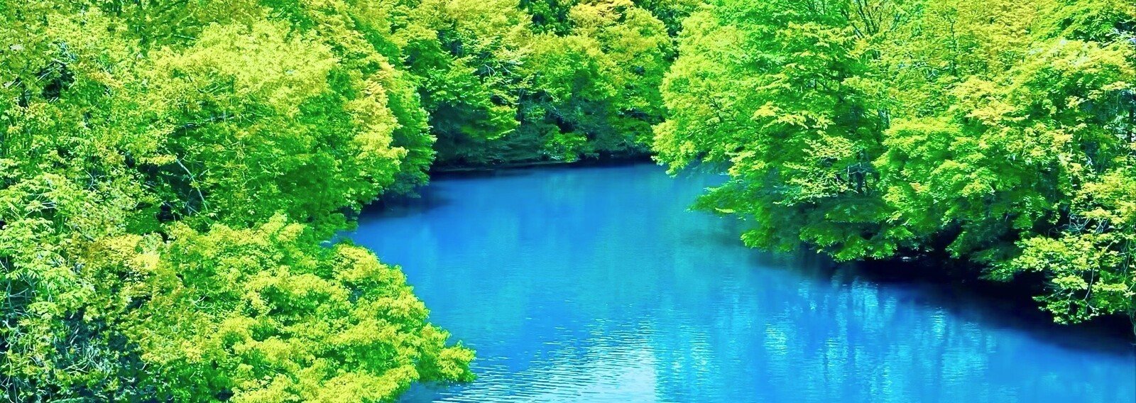 ayano_leizen 冷泉文野｜note