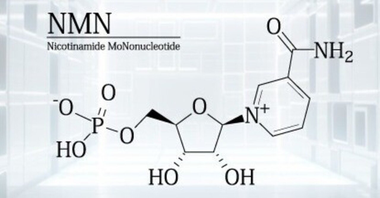 CALSEED®【公式】｜note