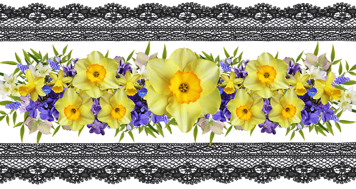 瀬戸 遥玲 ( Sumire Seto )｜note