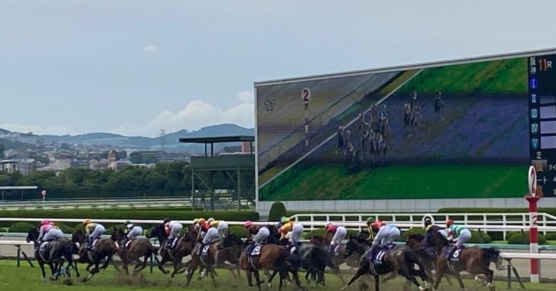 🌈2023年7月2930日土日 中央競馬🏇🟥新潟札幌競馬場アイビスサマーダッシュ、クイーンステークスなどメインレース 🟥 1週前