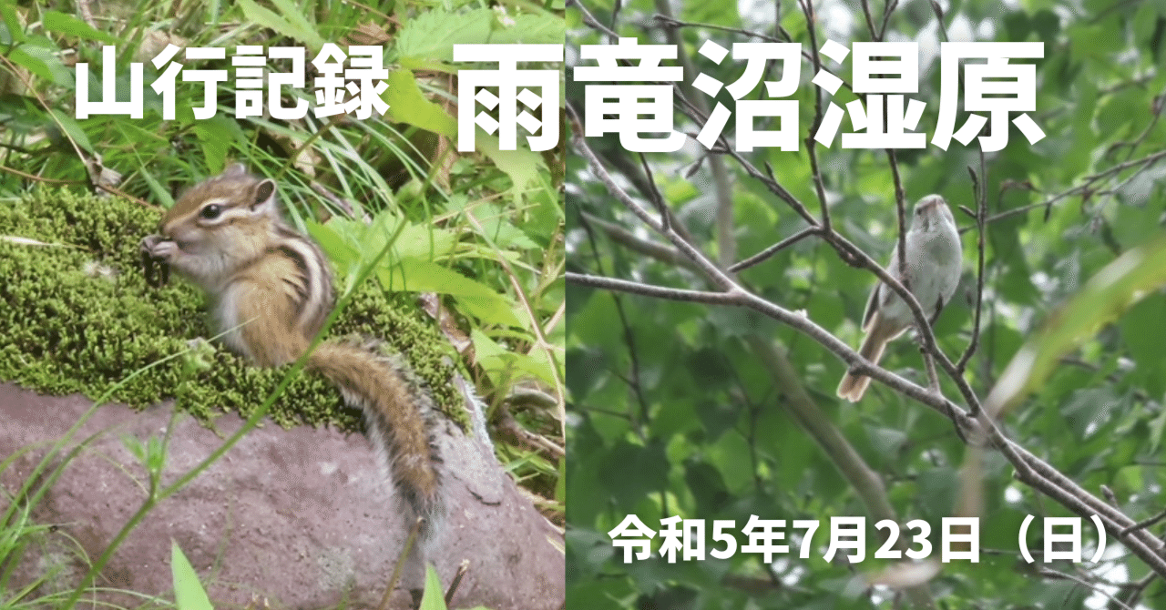 山行記録：雨竜沼湿原（R5.7.23）｜kakbock（登山社労士）