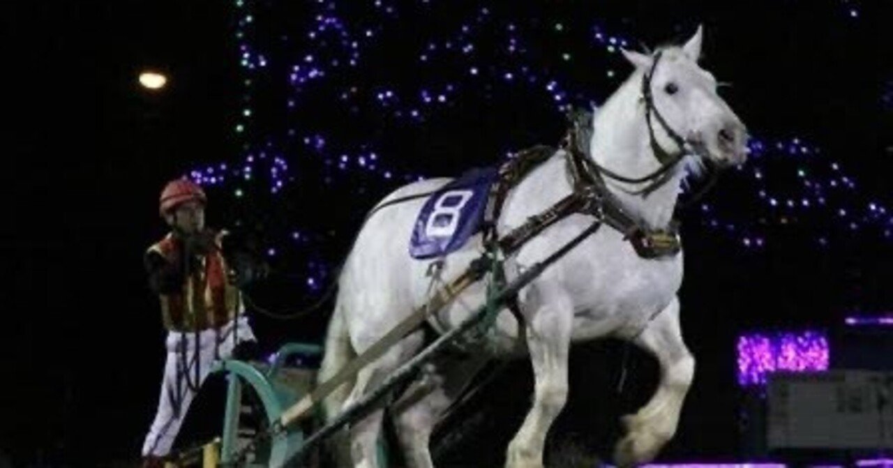 帯広5r 1638締切👑👑障害も巧い👑👑任せて👑👑｜ばんえい競馬専門🧧極