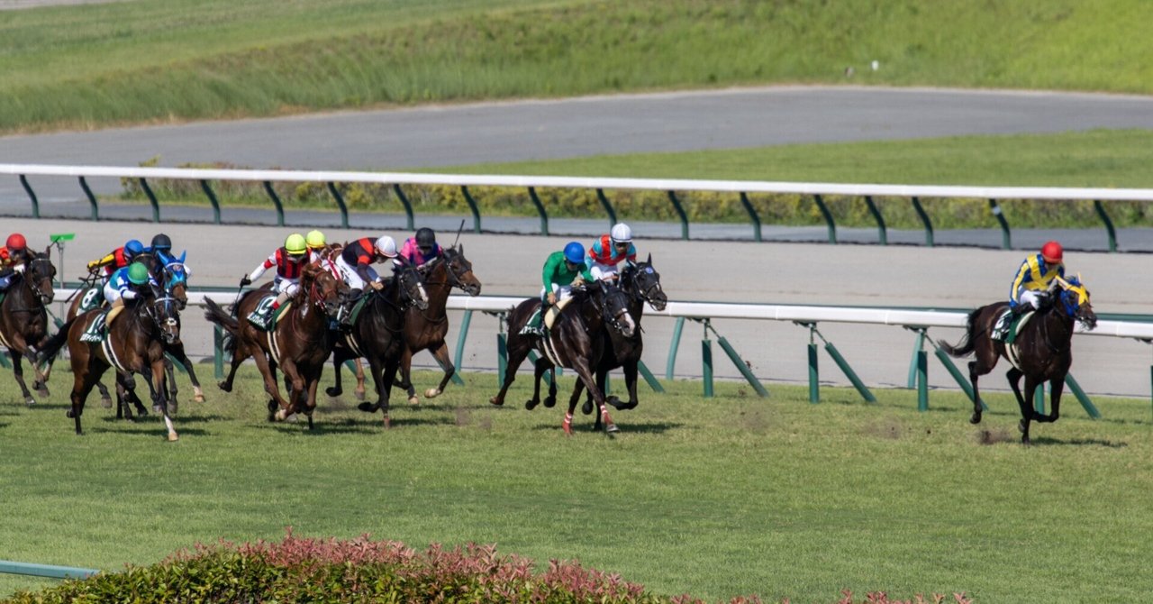 【中京記念（g3）回顧～その先へ】日刊コンピ篇｜haya
