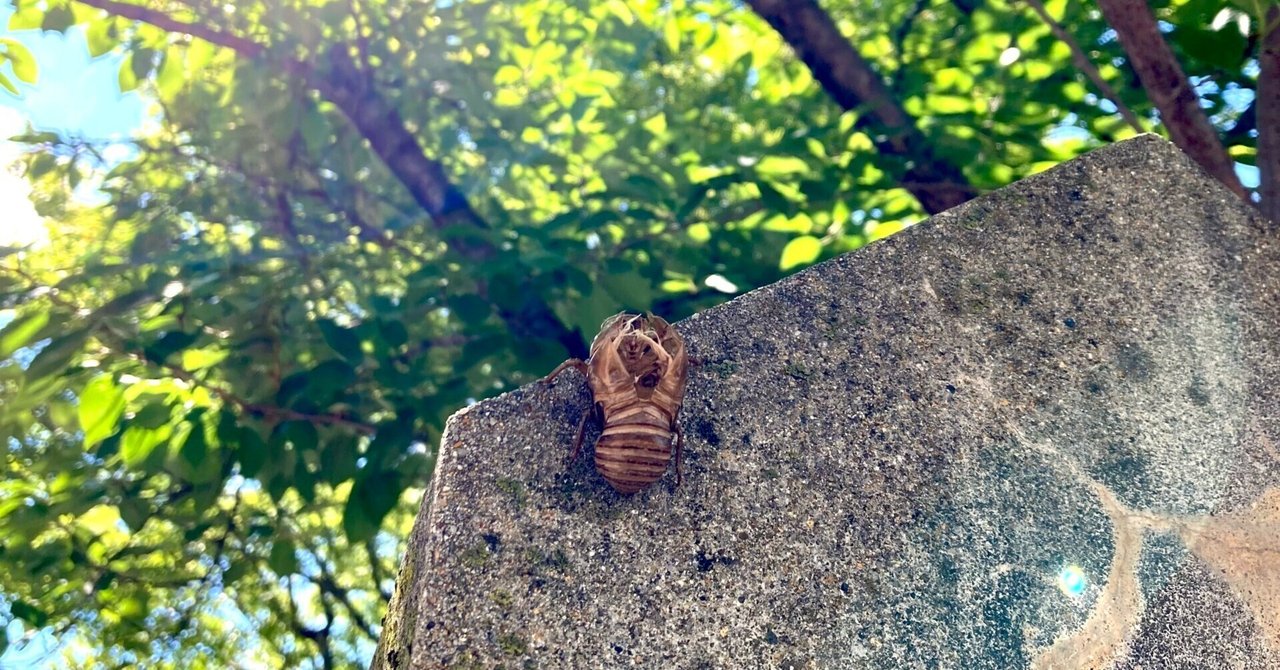 乳がん記録｜放射線治療（6）~照射終盤、診察~｜Tomomi Kawaguchi