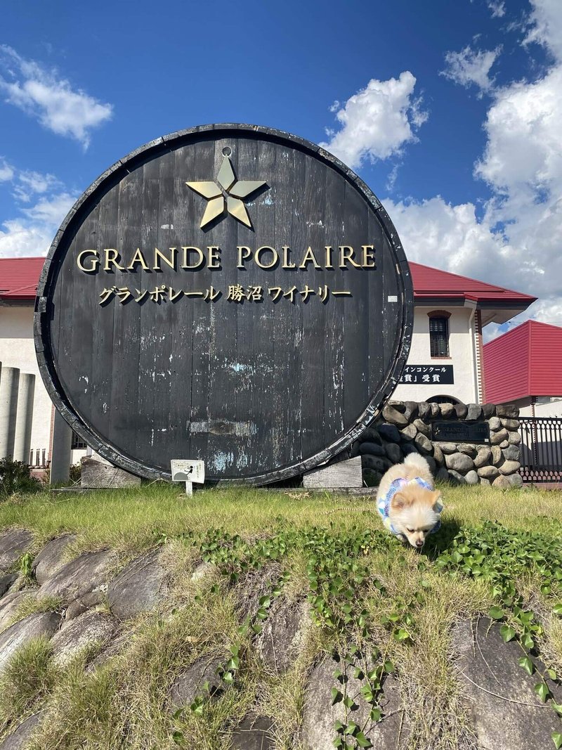 どの業界もクオリティを上げている｜綱嶋恭介(kyosuke tsunashima)