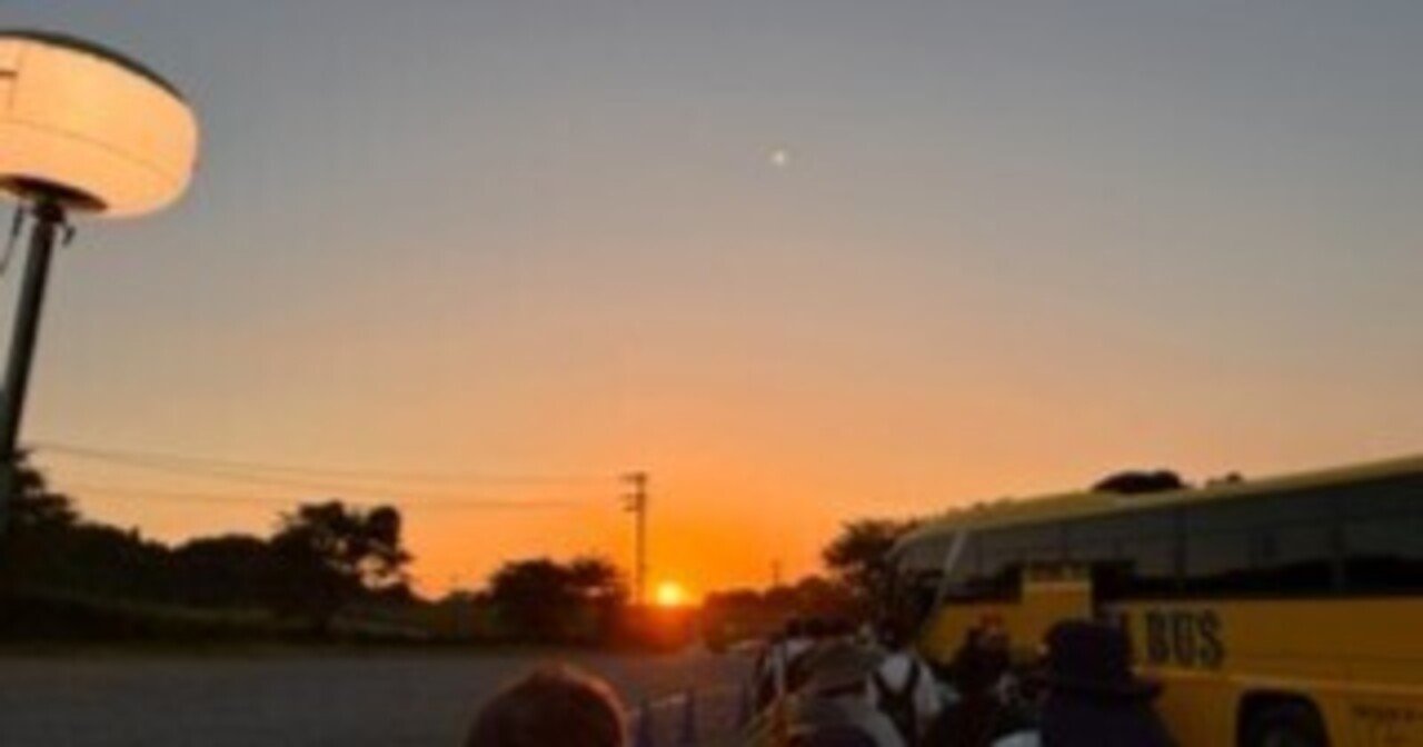 AP Bank Fes ライブ編｜えみのほのぼの日記