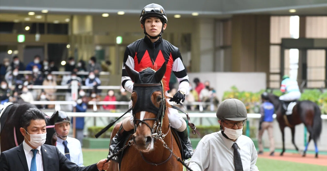 YGGオーナーズクラブ 2023募集馬(2022年産)AI馬体診断｜Koji Maeda