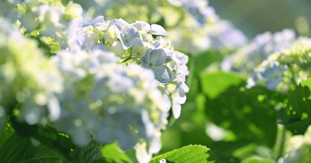 30代を迎えて急速に実感する現実とどう向き合うか｜kenmaro