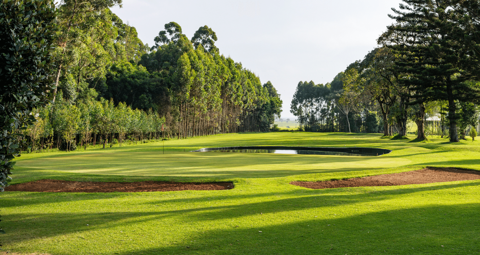 【SGA】single golfers association｜note