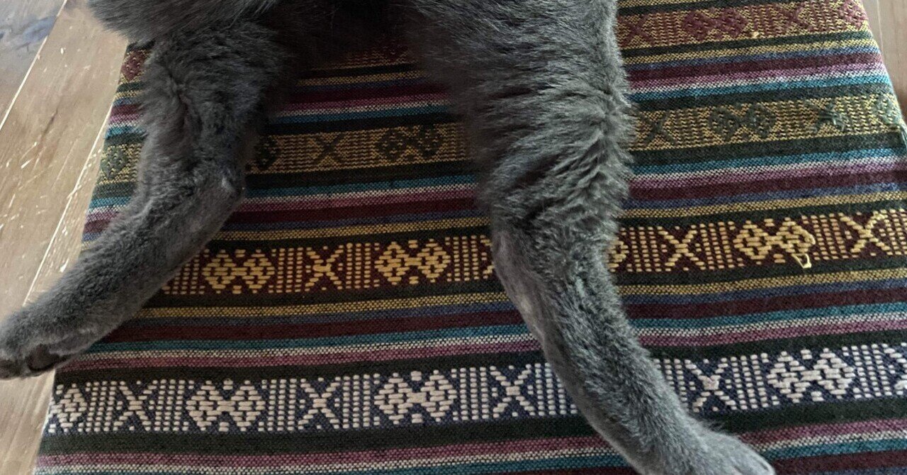 選択と結果｜kot