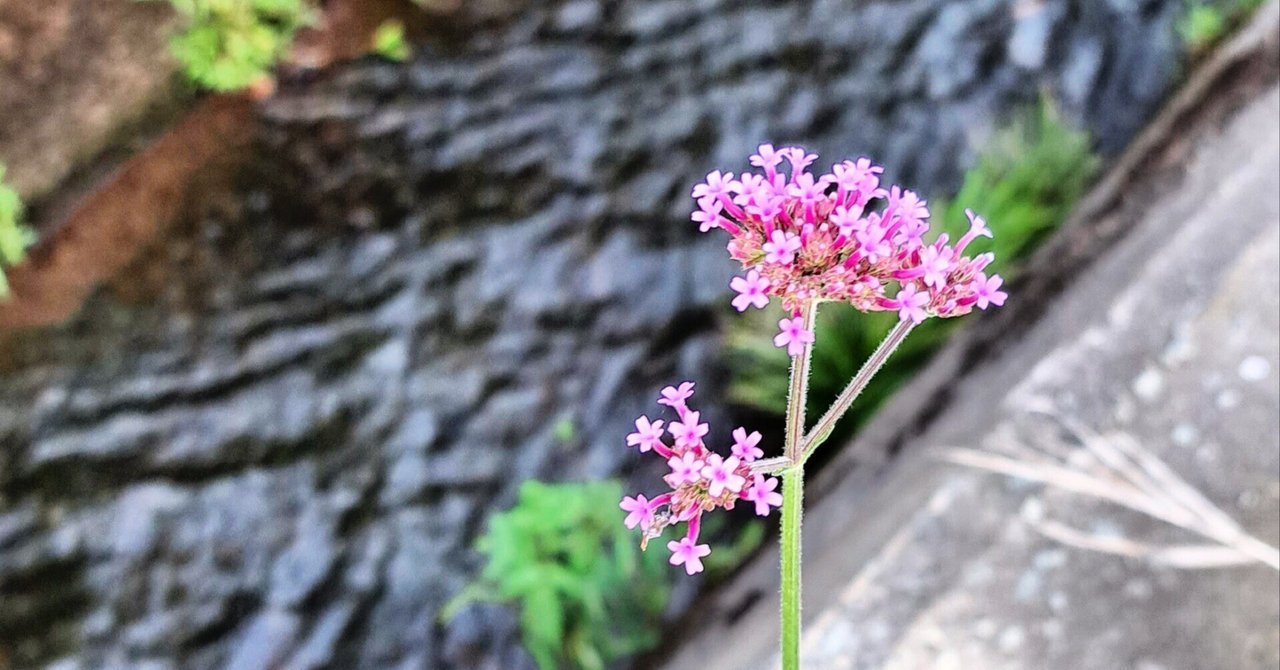 矛盾屋|小林健夫