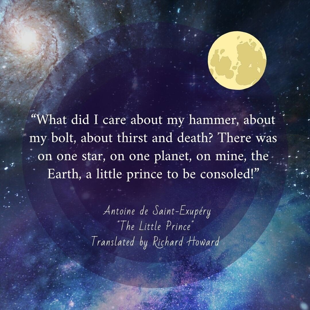 【Book Quote 43】｜夜海月｜洋書を読む