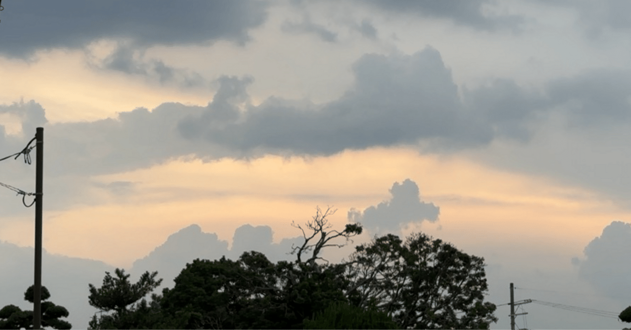 映画館通い｜ako_moon