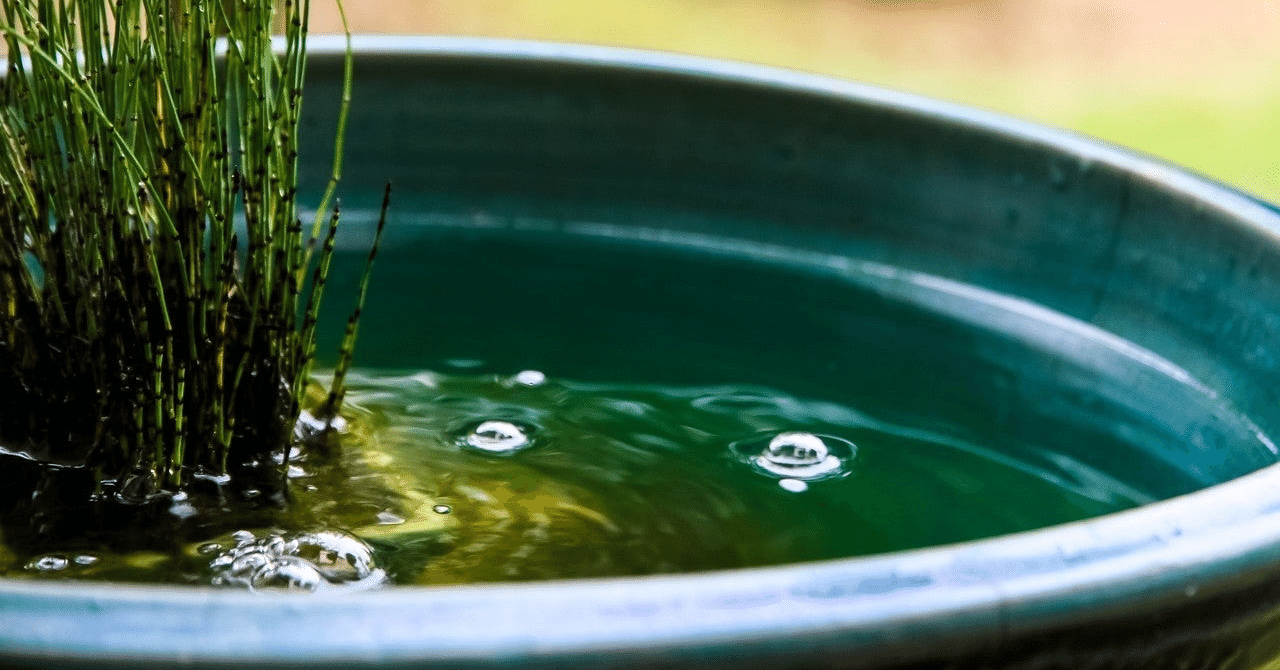 針子日記 #1｜長月-nagatsuki