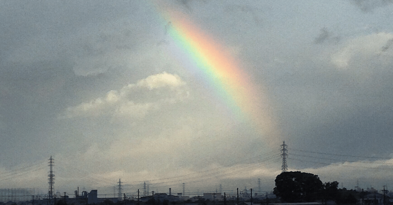 感じたこと｜Sena