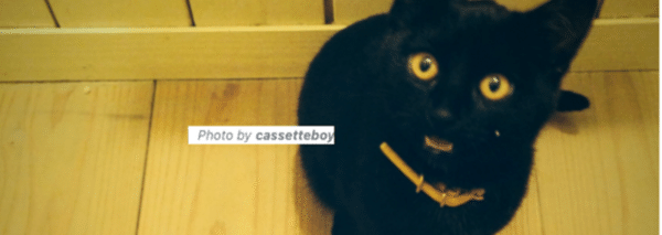 Dr Pilon (パイロン先生)｜note