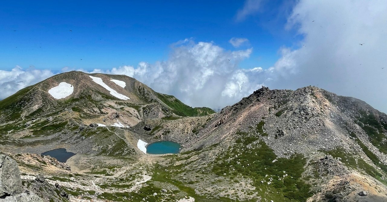 「野生の思考」とは｜吉川賢一 / Kenichi Yoshikawa