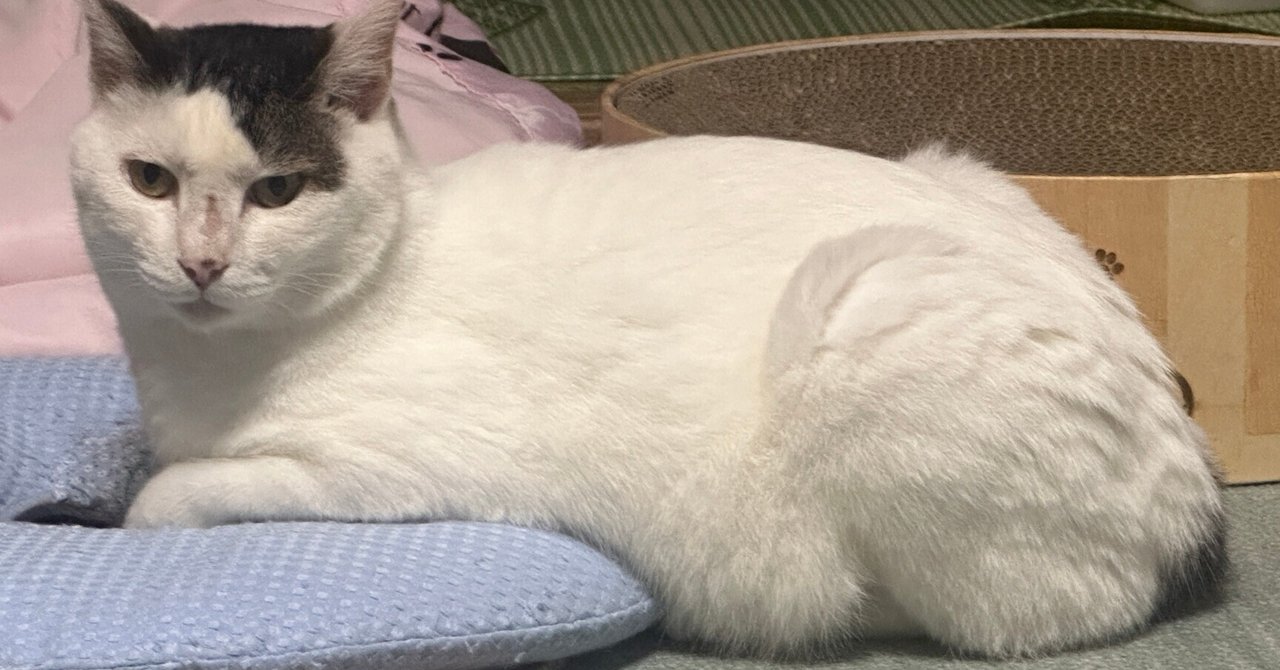 Come back HAPPY③｜Hiroyuki.M