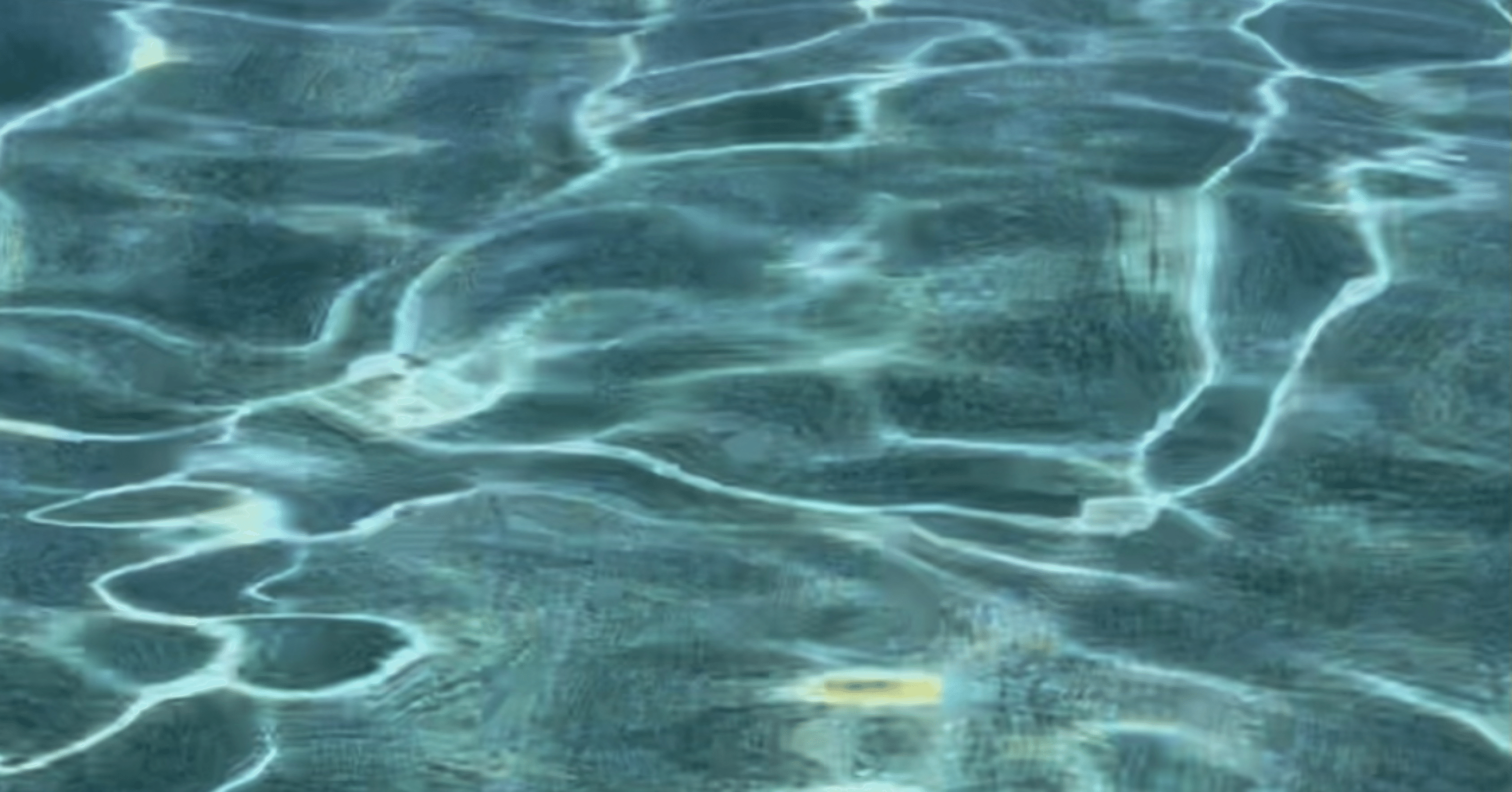 Yuyu｜旅しながら働くフルタイムトラベラー🦋｜note