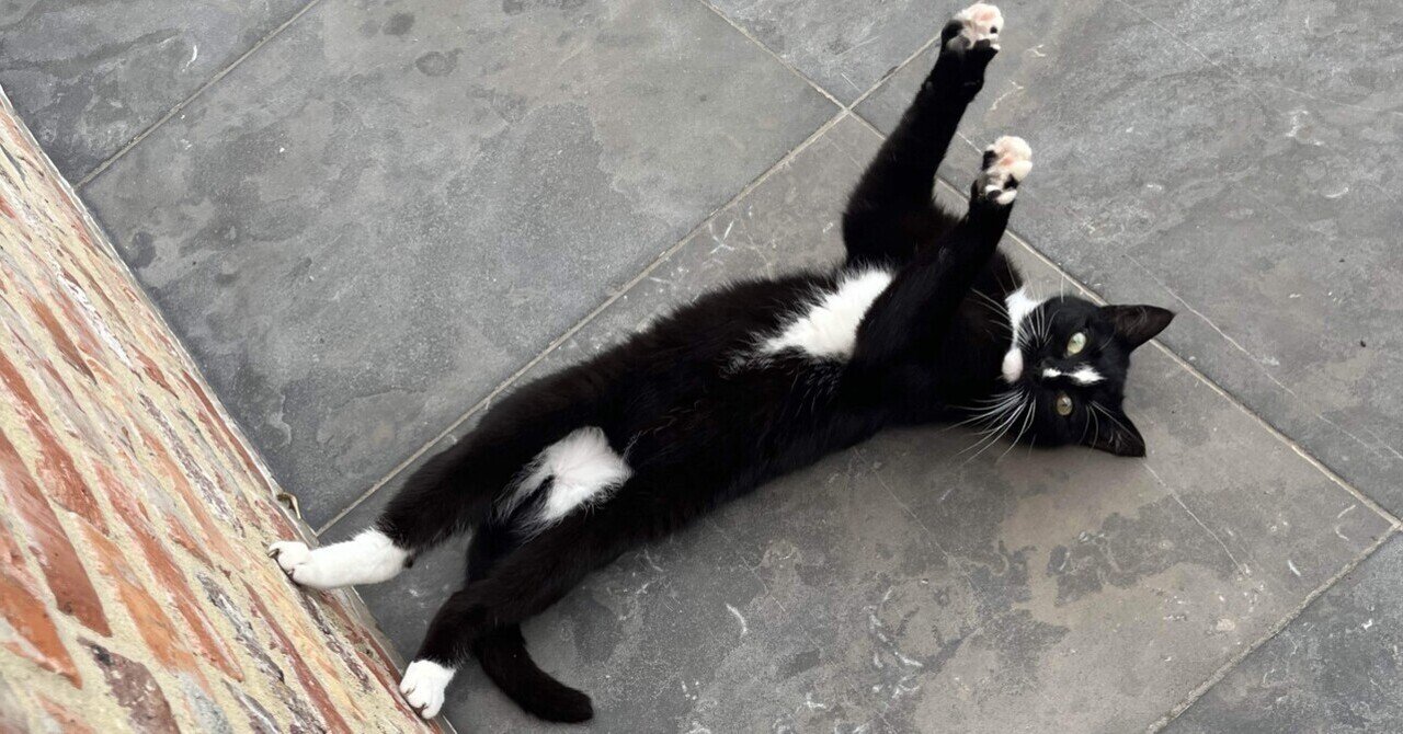 ベルギー遠征 DAY11｜大関 宙 / Sora Ozeki