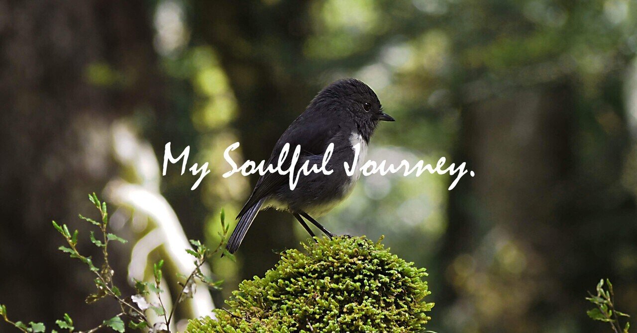 第1,2回目の内容について 》𝐌𝐲 𝐒𝐨𝐮𝐥𝐟𝐮𝐥 𝐉𝐨𝐮𝐫𝐧𝐞𝐲.｜Shuna Kana ｼｭﾅ ｶﾅ