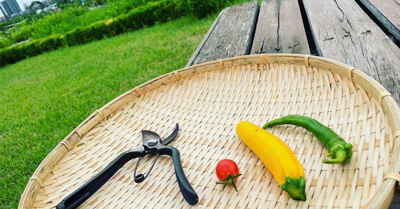 みんなの菜園プロジェクト｜plm_kurashi