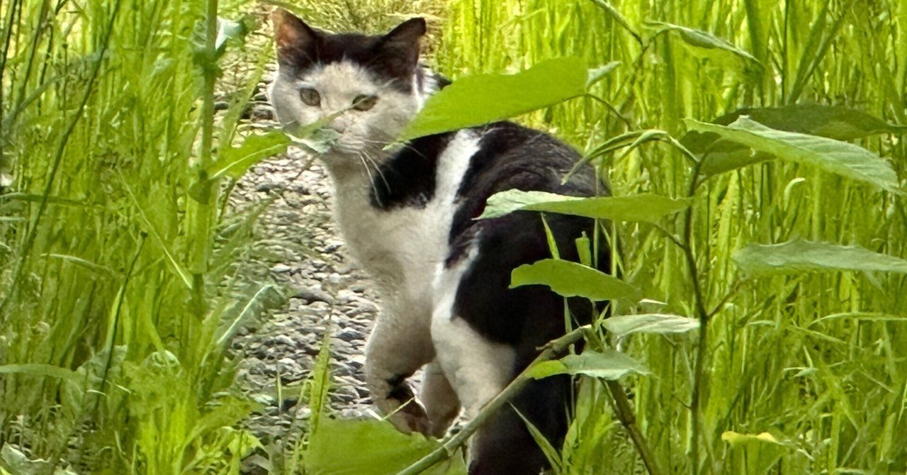 捕まった？～Come back HAPPY④｜Hiroyuki.M