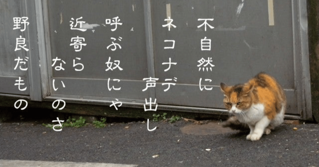 護身術を学ぶ際に気をつける事は？｜Jien'sマガジン