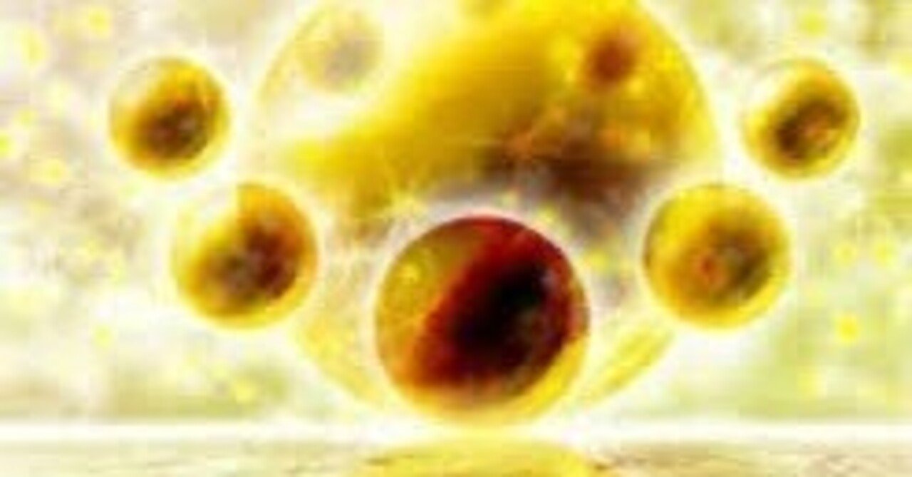 玉野2R15:56🔥🔥🔥｜#ゴロリ #競輪予想 #万車 #開運 #金運