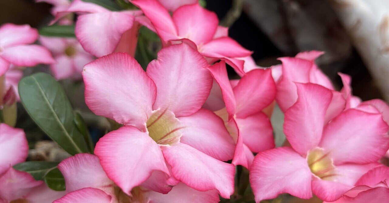 あぁ勘違い｜みっちー🌈Michiko Tsukuda