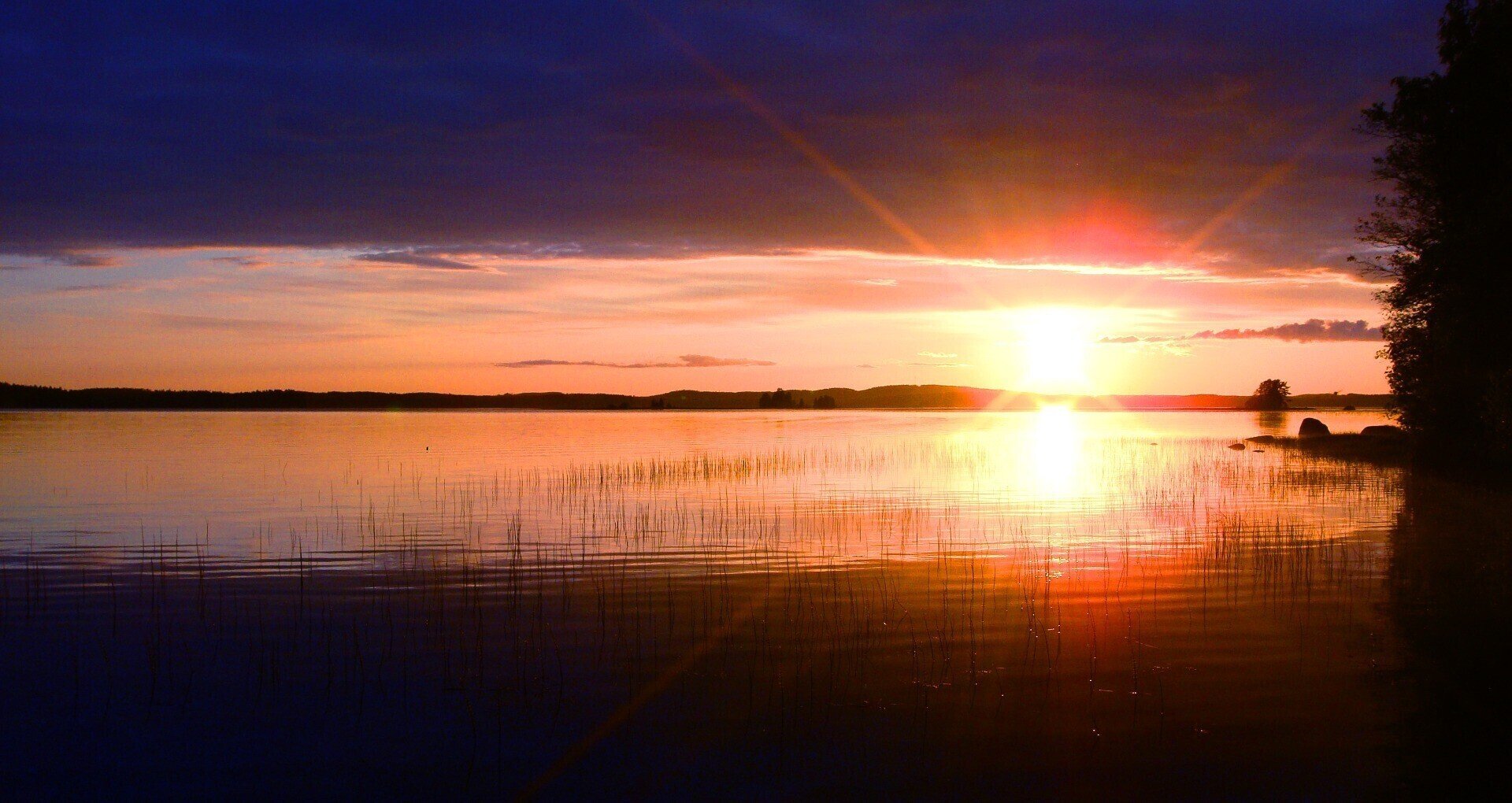 上田 楠菜子 | Nanako Ueda｜note