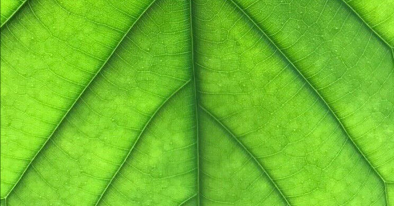 装具-sogu-はじめました。｜装具-sogu- クリエイターのつれづれ