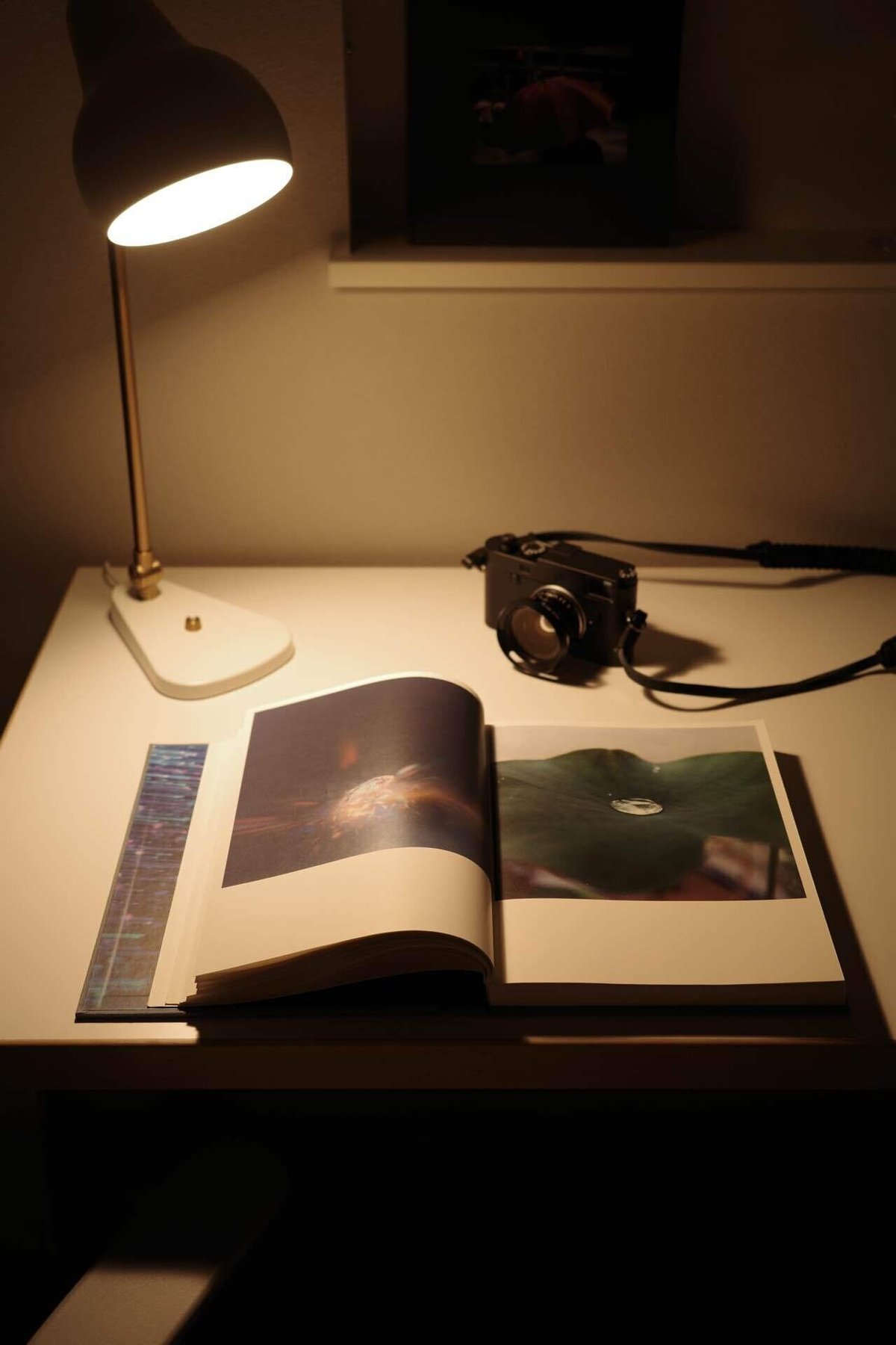 ルイス・ポールセン｜shirasu camera