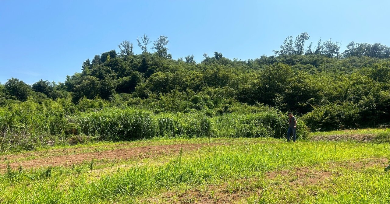 密かな野望②｜つぐみ