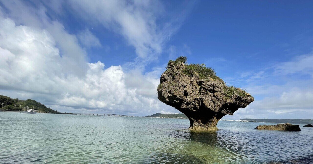 はじめましてのご挨拶｜halu akane